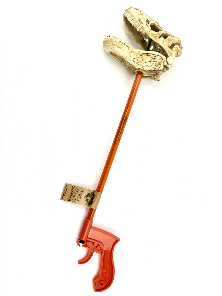 Toy Snapper Brown T-Rex Skull – Museum of Northern Arizona Shop